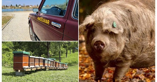 Gotovo 50 000 eura udrugama za projekte poljoprivrede, lovstva i ... Gotovo 50 000 eura udrugama za projekte poljoprivrede, lovstva i ...
