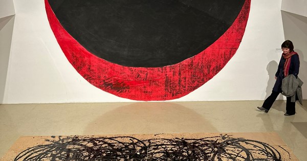 Otvorena izložba Dubravke Rakoci | VG danas